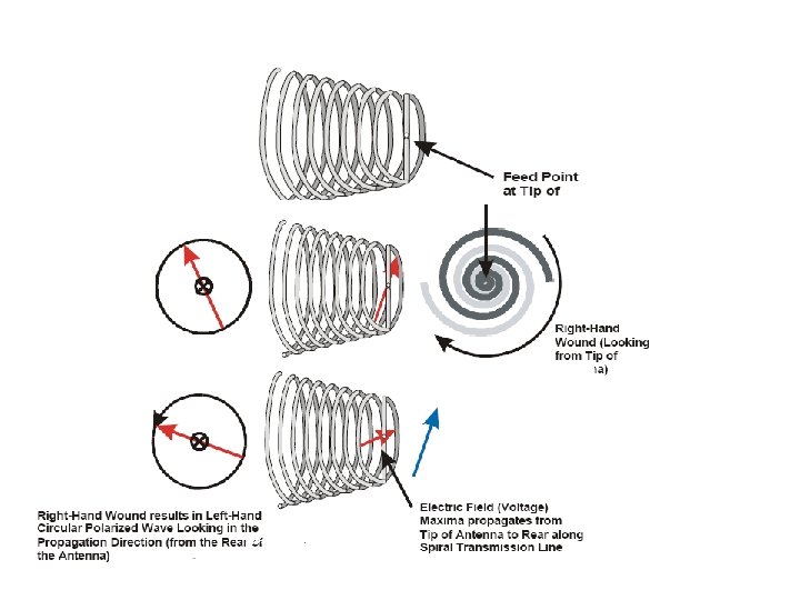 PLANAR SPIRAL Equiangular plane spiral curve Derivative Single