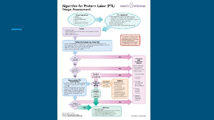 The Art of Obstetrical Triage Katherine Degen MD