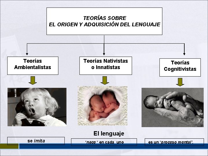 TEMA LENGUAJE Y COMUNICACIN DEFINICIN CARACTERSTICAS FUNCIONES DEL