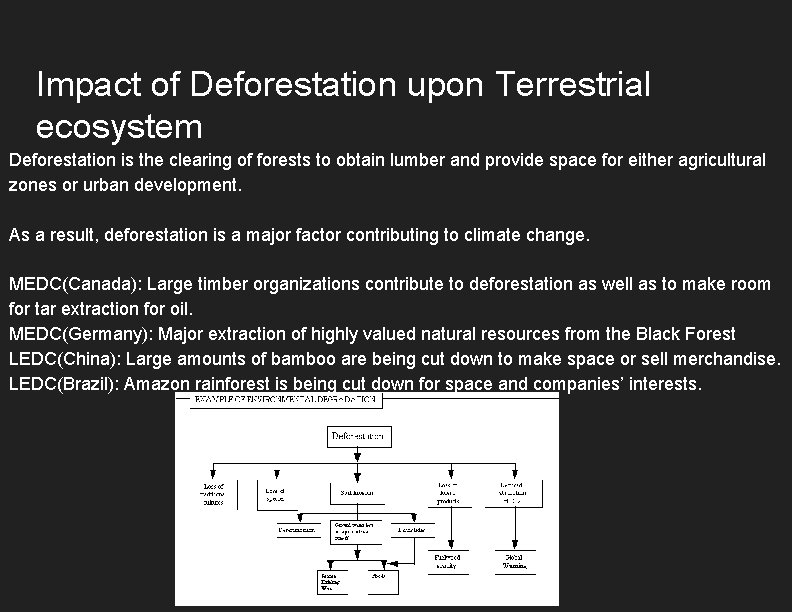 Impact of Human Activity on Ecosystems By Orlando