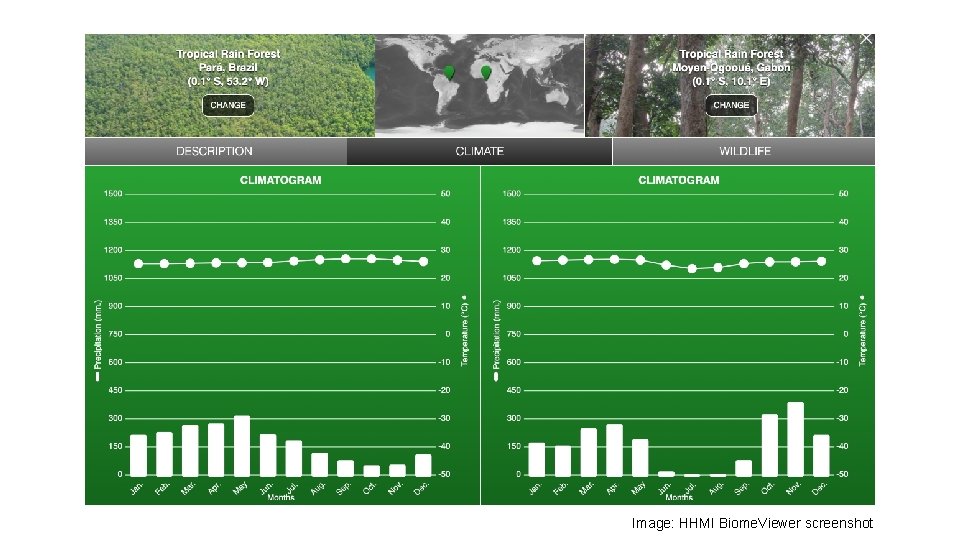 Exploring Global Patterns in Temperature and Precipitation with