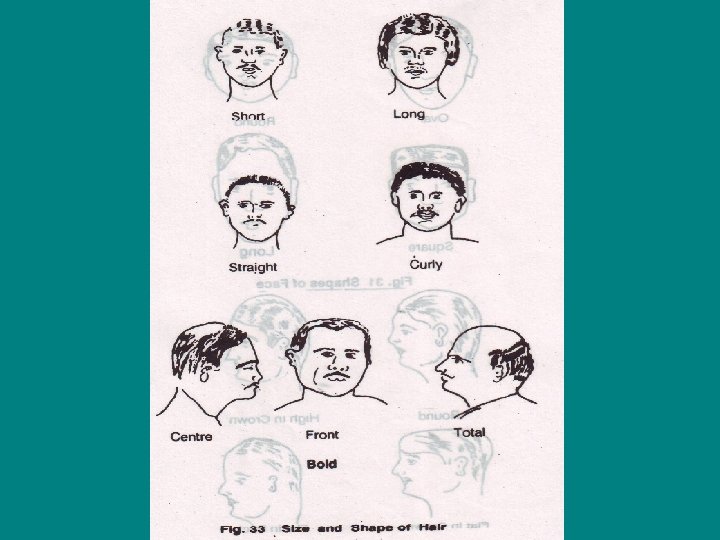 Lecture on Personal Identification By G RAJAGOPAL REDDY