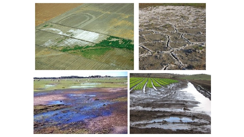 Unit 4 3 Soil and Agriculture Rock Cycle
