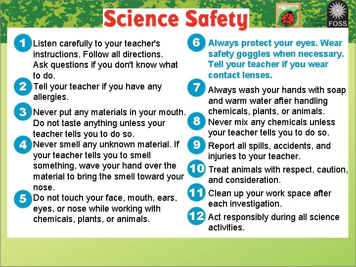 SOILS ROCKS AND LANDFORMSInvestigation 4 Part 2 Making