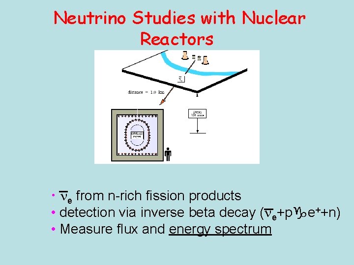NEUTRINO OSCILLATION MEASUREMENTS WITH REACTORS NDM 09 Madison