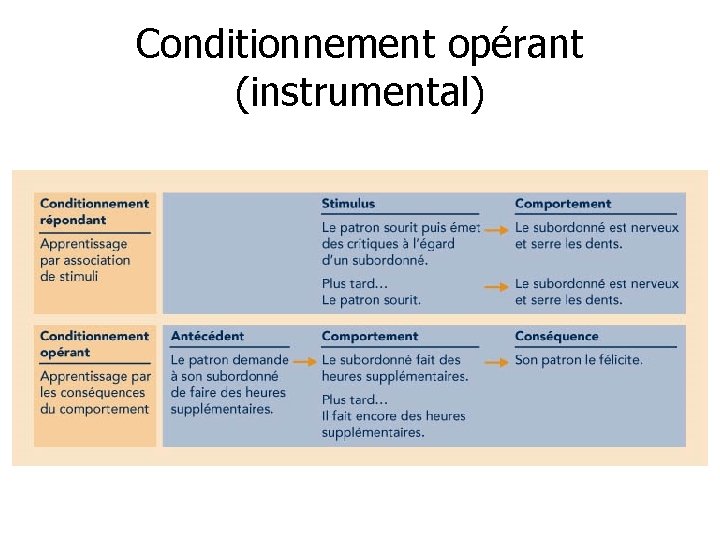 Cours 5 Apprentissage et conditionnements Renforcements et punitions