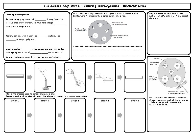 9 1 Science AQA Unit 1 Cell structures