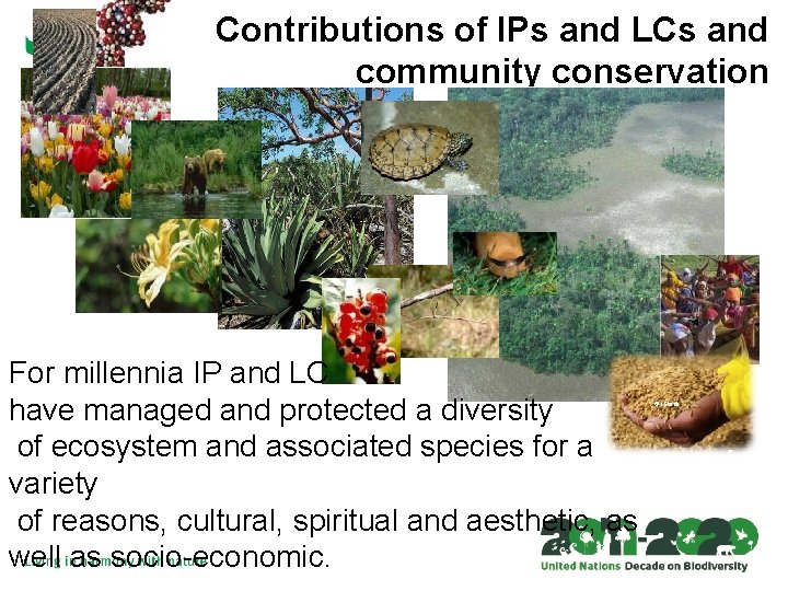 Contributions of IPs and LCs and community conservation