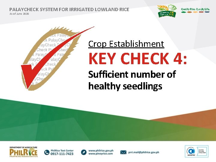PALAYCHECK SYSTEM FOR IRRIGATED LOWLAND RICE As of