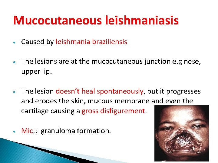 Infectious disease pathology Lecture 3 Mays Ibrahim Arab