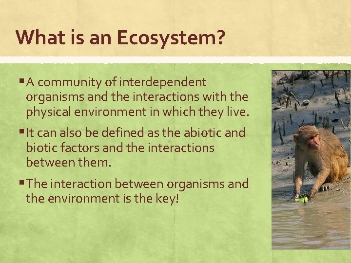 2 1 Structure of Ecosystems ESS 1 2014