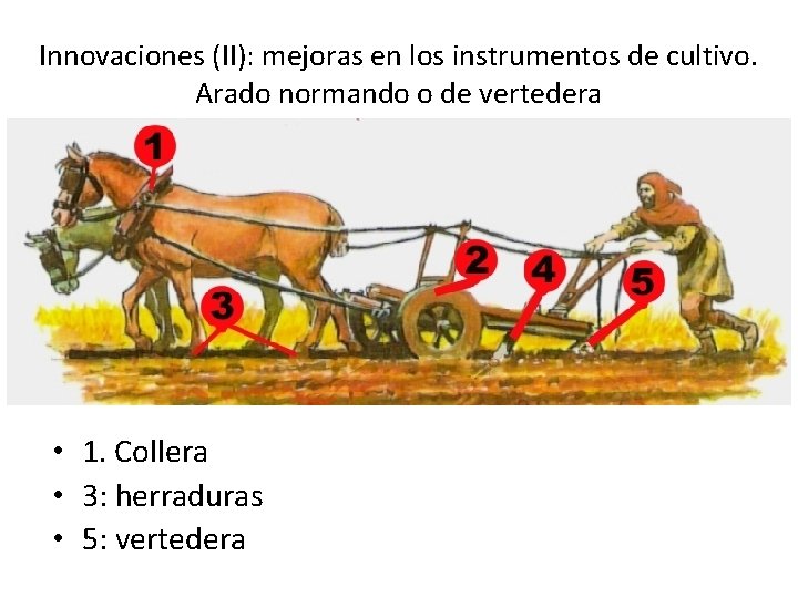 La Baja Edad Media El resurgir de las