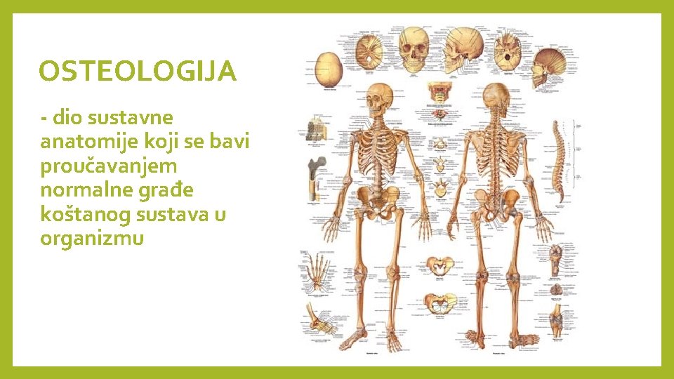 8 UVOD U KOTANI SUSTAV Medicinska kola u