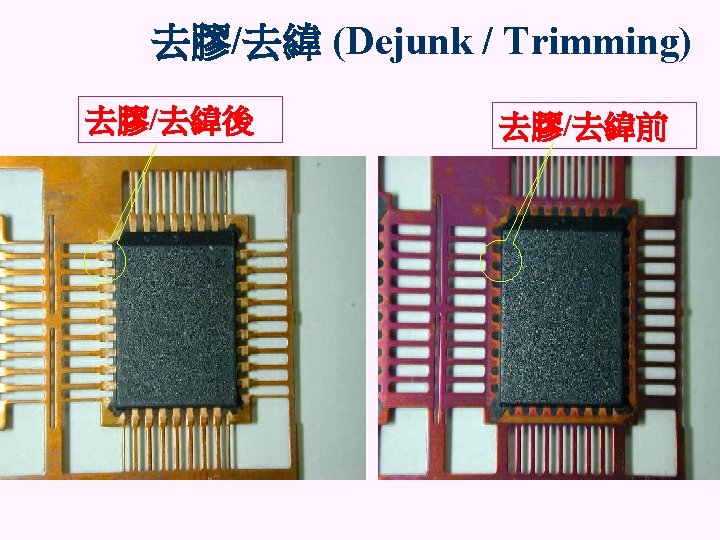 Wafer In Wire Bond WB Solder Plating SP