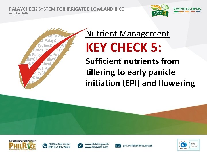 PALAYCHECK SYSTEM FOR IRRIGATED LOWLAND RICE As of