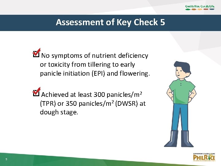 PALAYCHECK SYSTEM FOR IRRIGATED LOWLAND RICE As of