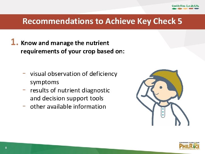 PALAYCHECK SYSTEM FOR IRRIGATED LOWLAND RICE As of