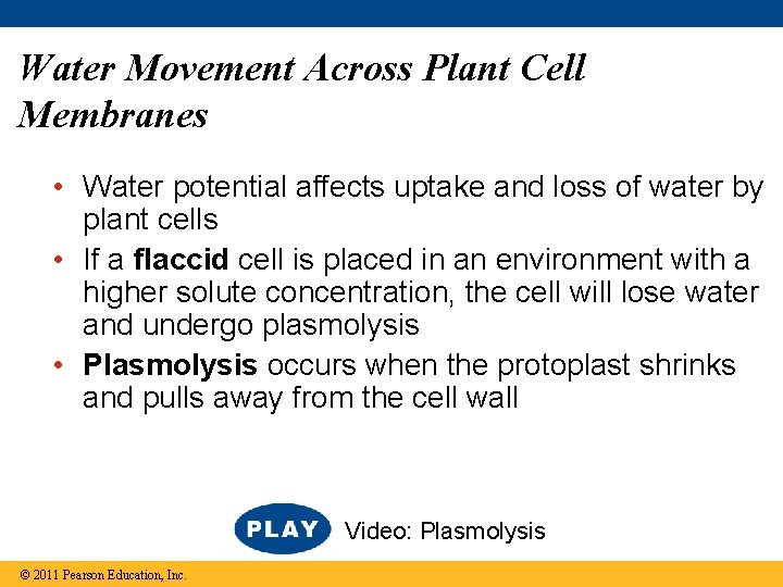 Water Regulation and Nutrient Absorption 2011 Pearson Education