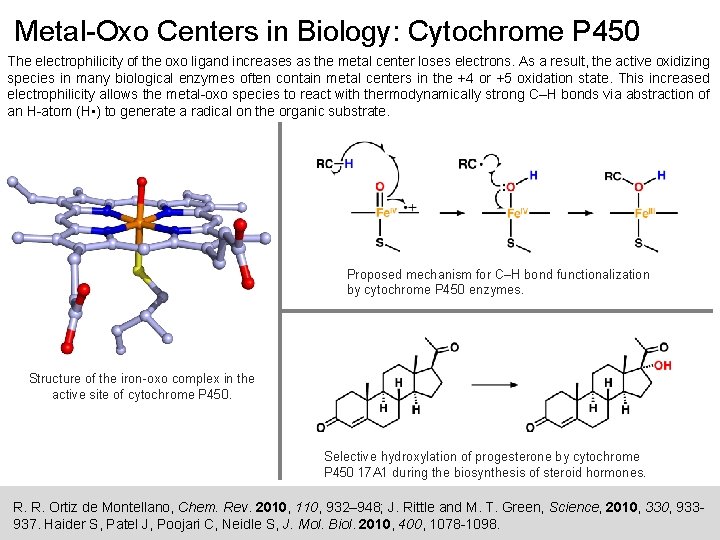 BioInspired MetalOxo Catalysts for CH Bond Functionalization Organic