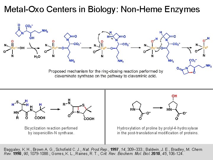 BioInspired MetalOxo Catalysts for CH Bond Functionalization Organic