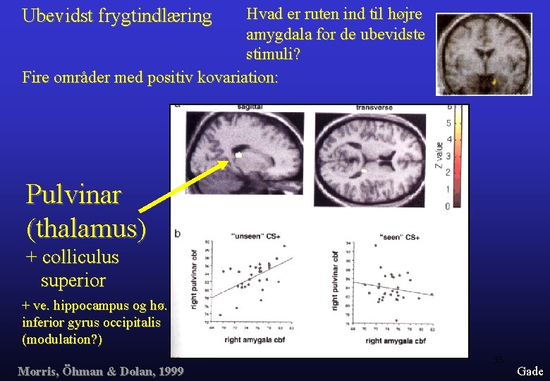 Emotioner isr frygt amygdala og det limbiske system