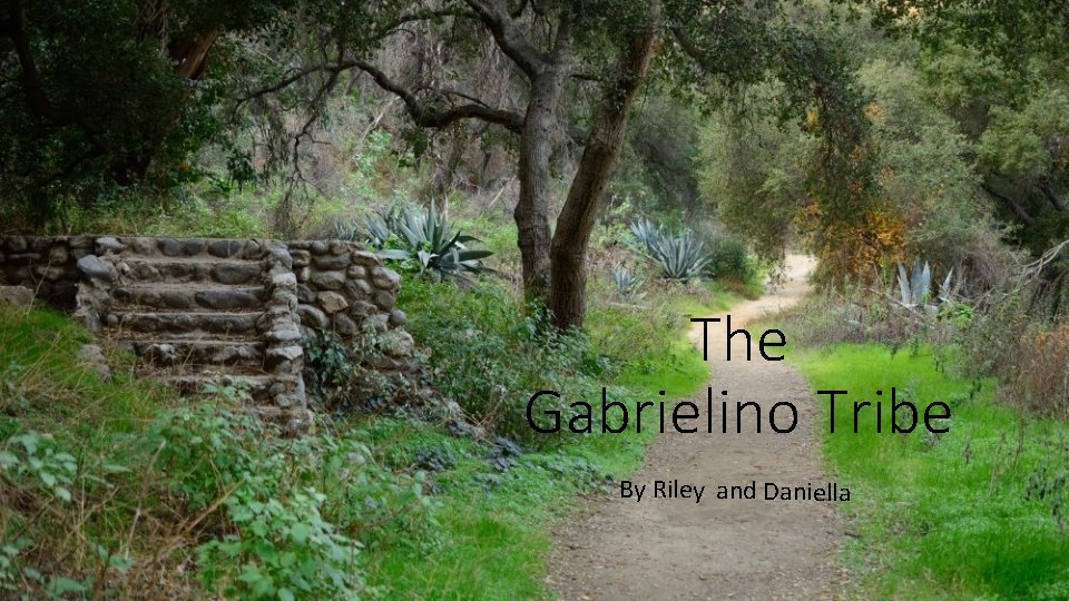 The Gabrielino Tribe By Riley and Daniella Location