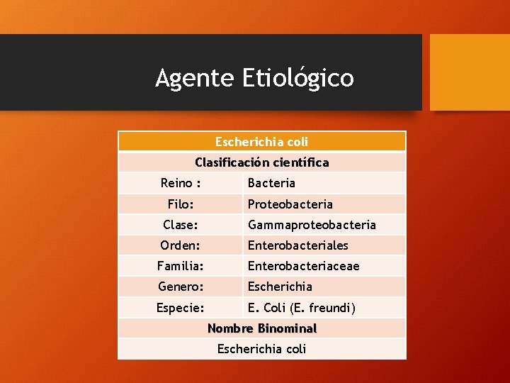 Colibacilosis Escheriquia coli UNIVERSIDAD NACIONAL AUTNOMA DE MXICO