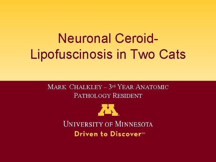 Neuronal Ceroid Lipofuscinosis in Two Cats MARK CHALKLEY