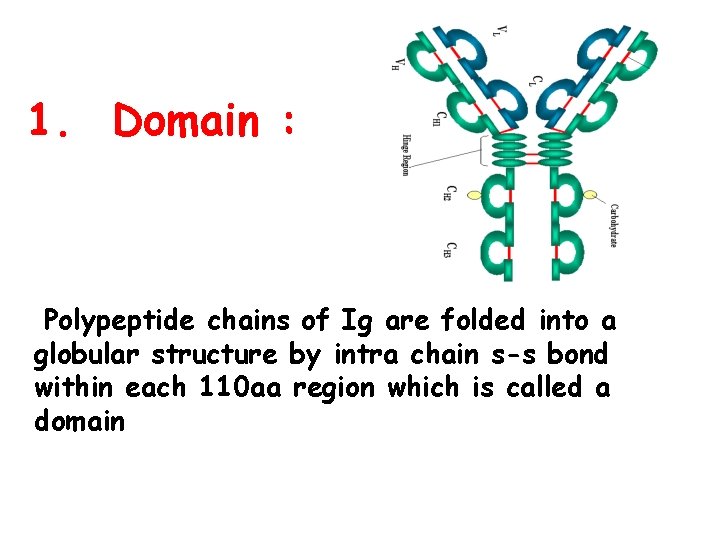 Immunoglobulin Collage of Medical Henan University Contents Introduction