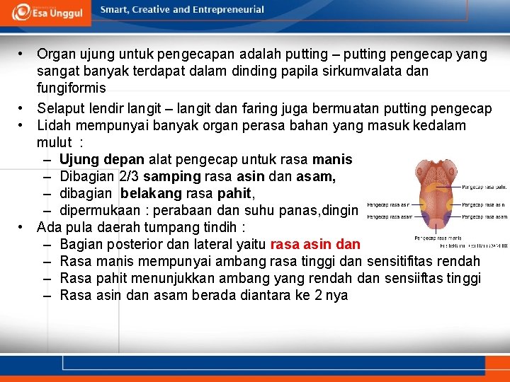Kkpmt 3 Anatomi fisiologi sistem pengecapan PERTEMUAN 7