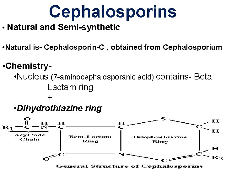 Beta Lactam Antibiotics Prof R K Dixit Pharmacology