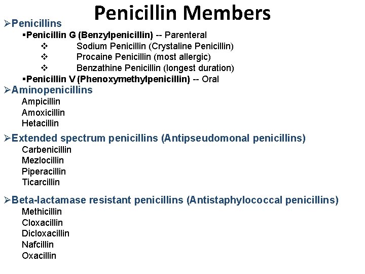 Beta Lactam Antibiotics Prof R K Dixit Pharmacology
