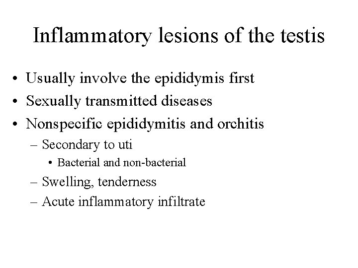 Male genital system MALE GENITAL SYSTEM PENIS SCROTUM