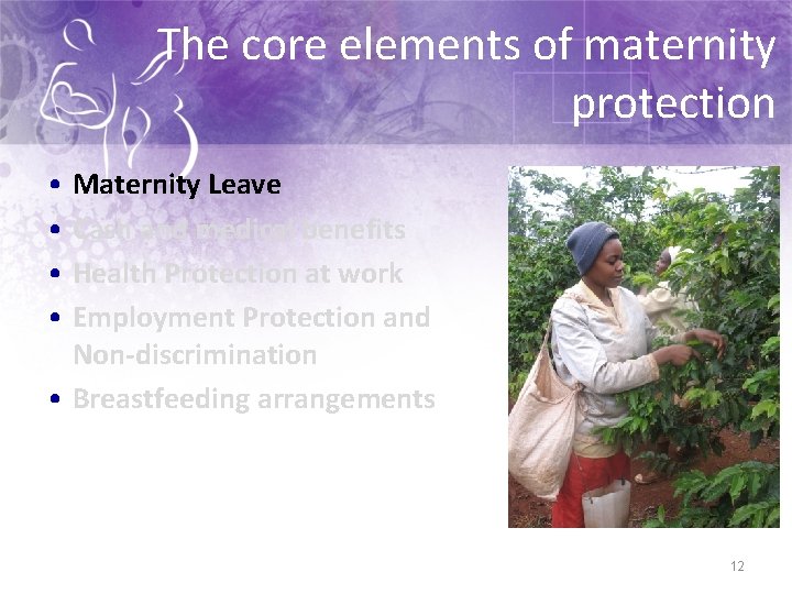 International Labour Organization World trends on maternity protection