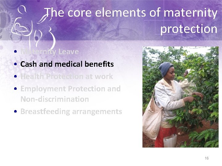 International Labour Organization World trends on maternity protection