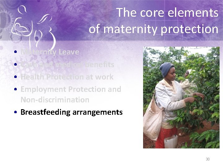 International Labour Organization World trends on maternity protection