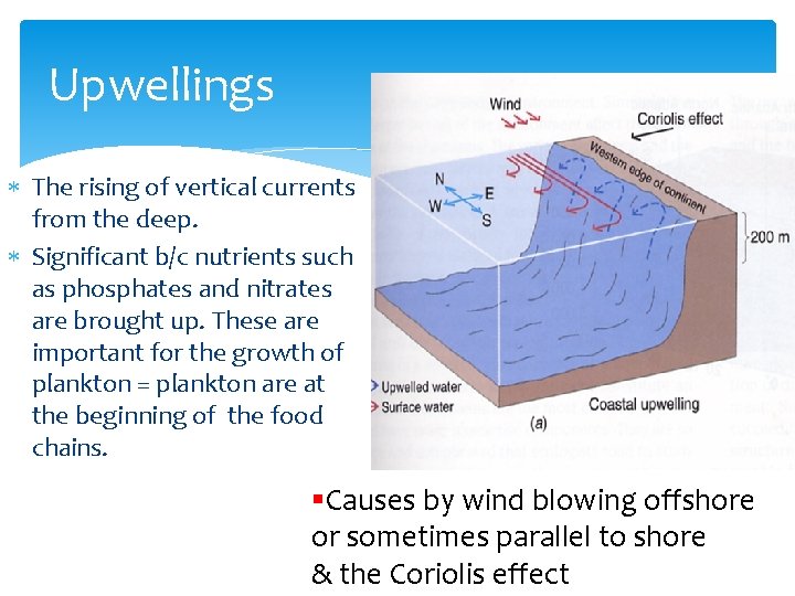 pg 30 List 5 observation about the current