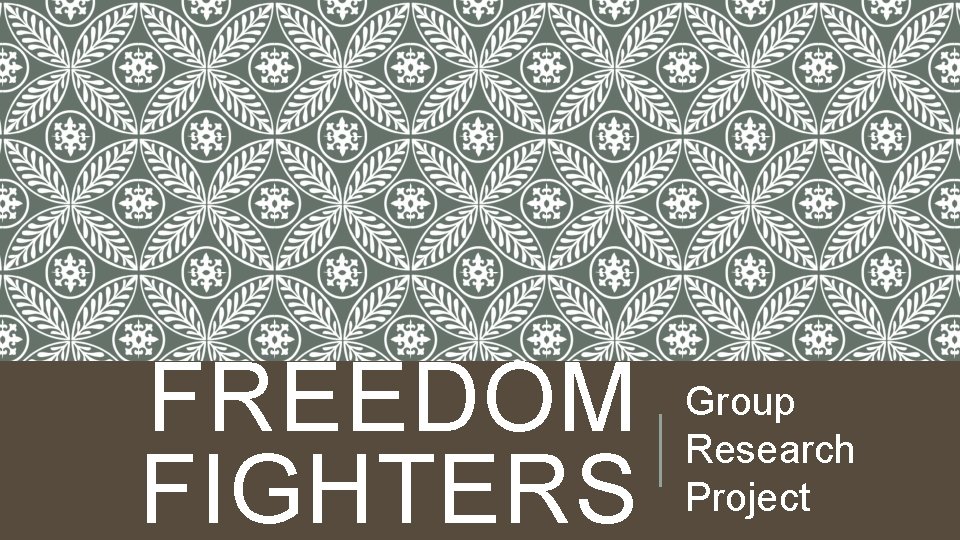 FREEDOM FIGHTERS Group Research Project BEYOND THE FREEDOM