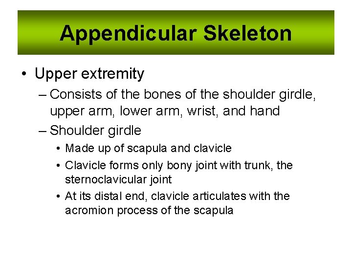 Essentials of Human Anatomy The Skeletal System 3