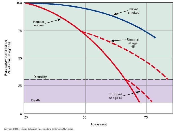 Functions of Respiratory System Ventilation moves air to