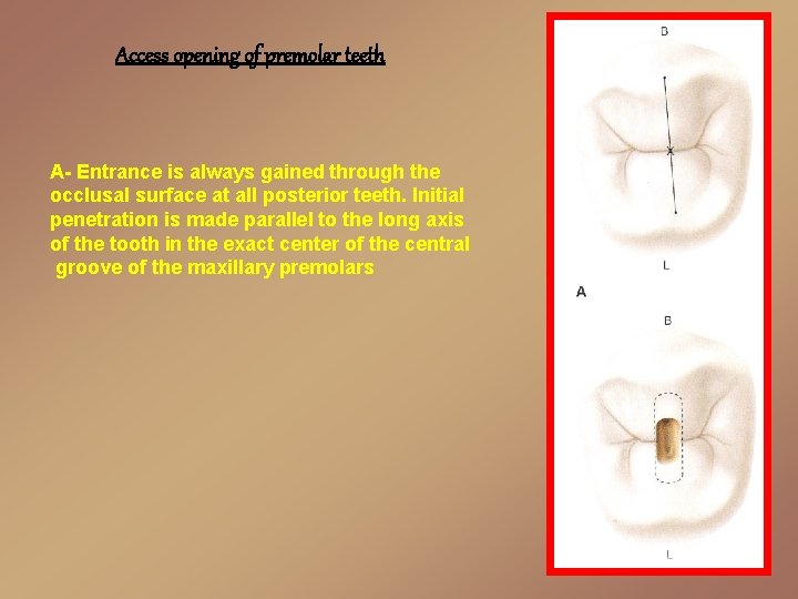 A lingual surface of all anterior teeth B