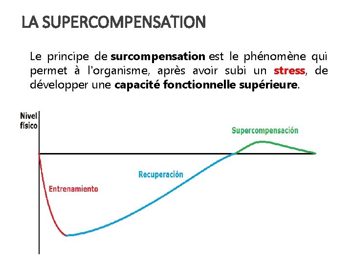 PROGRAMME PERSONNEL DACTIVIT PHYSIQUE LA PLANIFICATION DANS LENTRANEMENT