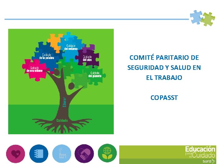 COMIT PARITARIO DE SEGURIDAD Y SALUD EN EL