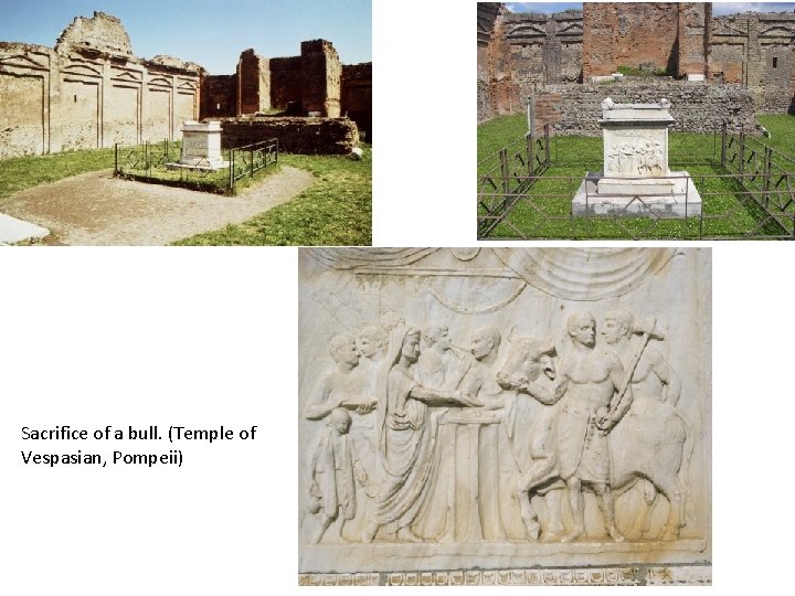 Roman Animal Sacrifice Roman Sacrifice 1 Lustration Purification