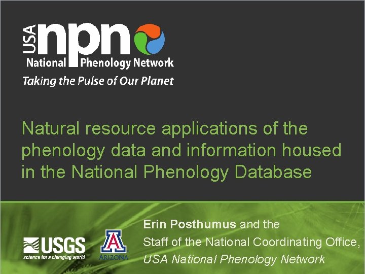 Natural resource applications of the phenology data and