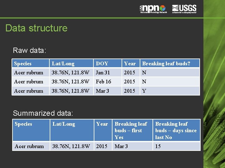 Natural resource applications of the phenology data and