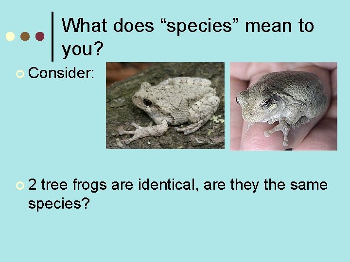 What does species mean to you Consider 2