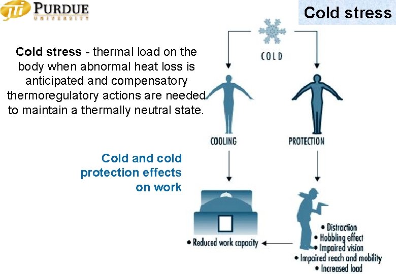 Cold Work Injuries in Agriculture Strategies for Prevention
