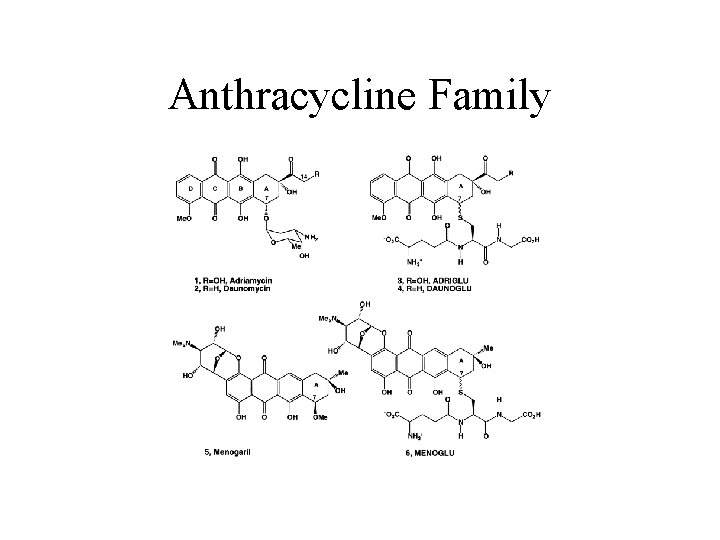 AdriamycinDuanomycin A DNA Intercalator Libin Du 04162002 Outline