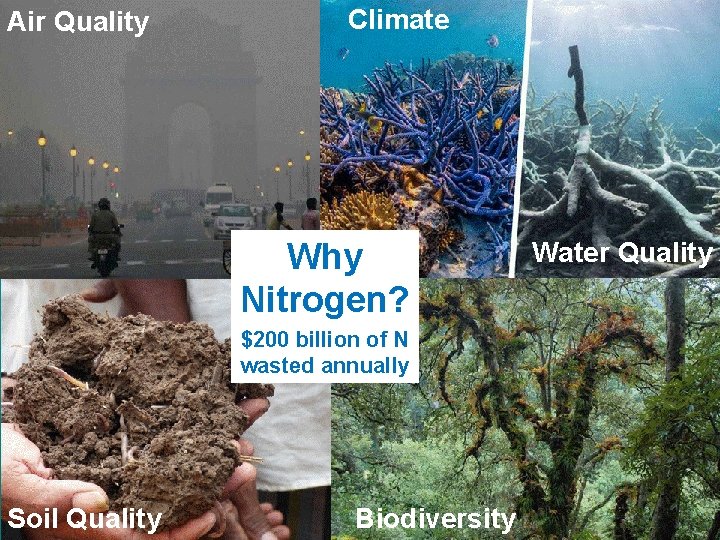 Role of nutrient management in agriculture for addressing